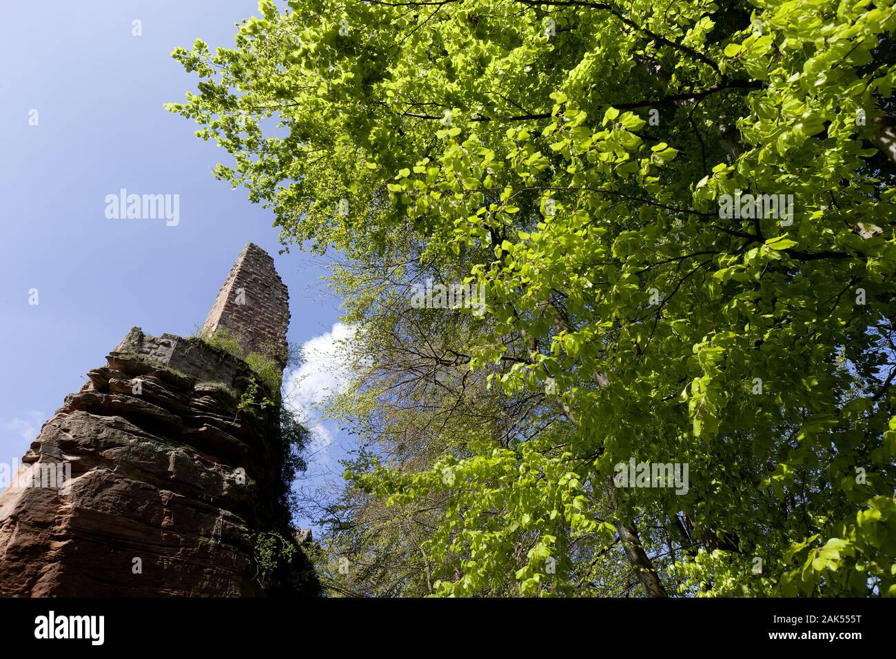 Biosphaerenreservat Pfaelzerwald-Vosges du Nord: Burgruine Wasigenstein ...