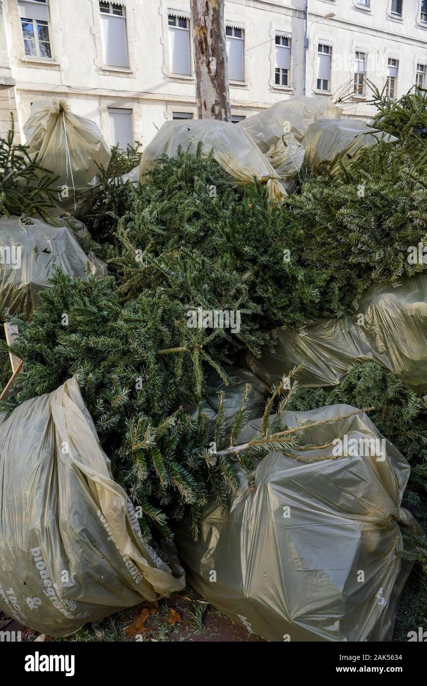 Composting christmas trees hi-res stock photography and images - Alamy