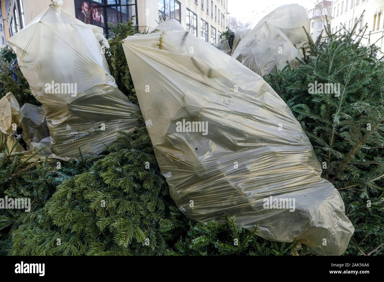 Composting christmas trees hi-res stock photography and images - Alamy