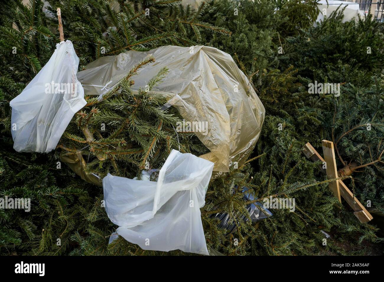 Composting christmas trees hi-res stock photography and images - Alamy