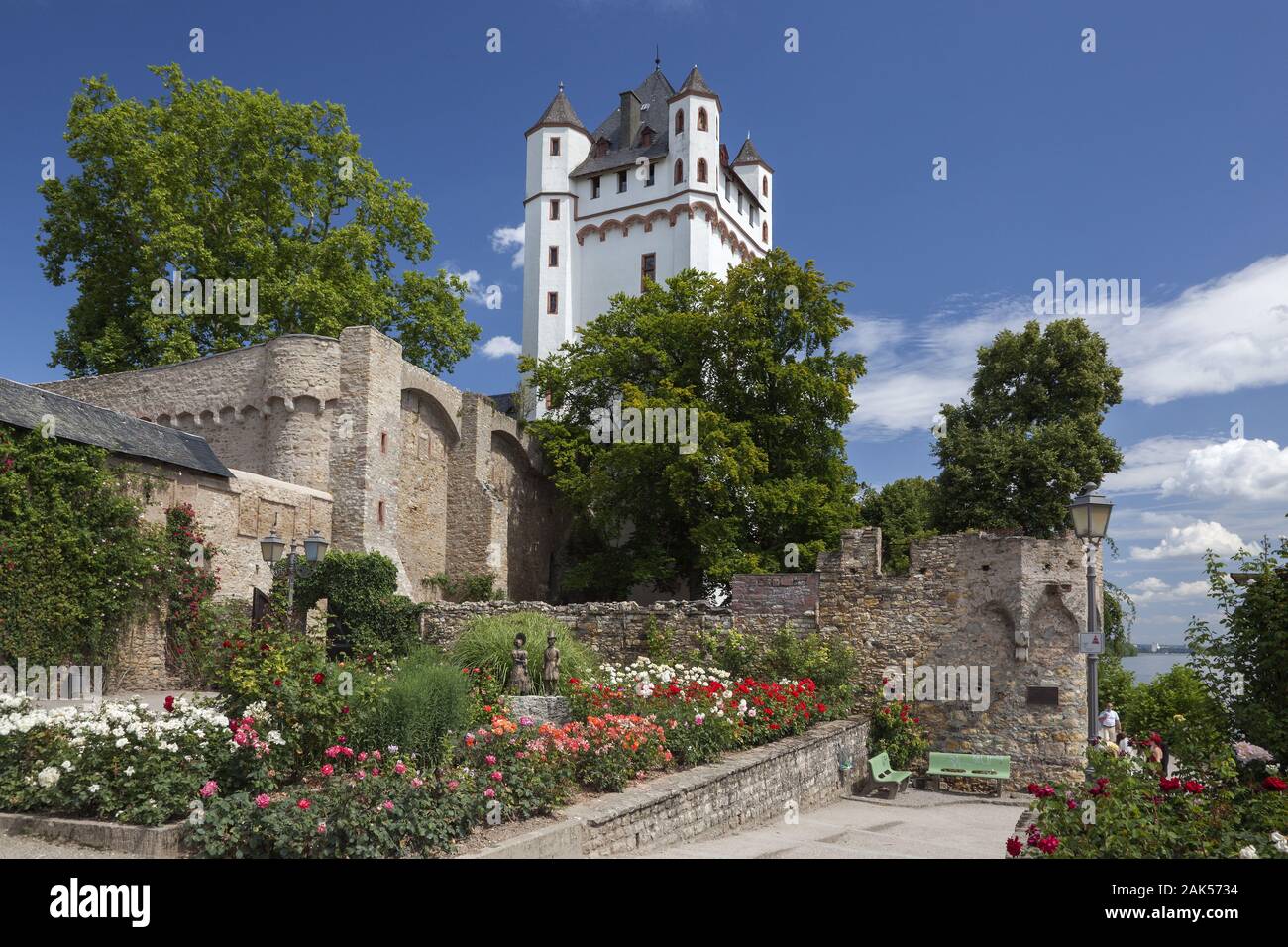 Eltville: Kurfuerstliche Burg am Rhein, Rhein | usage worldwide Stock ...