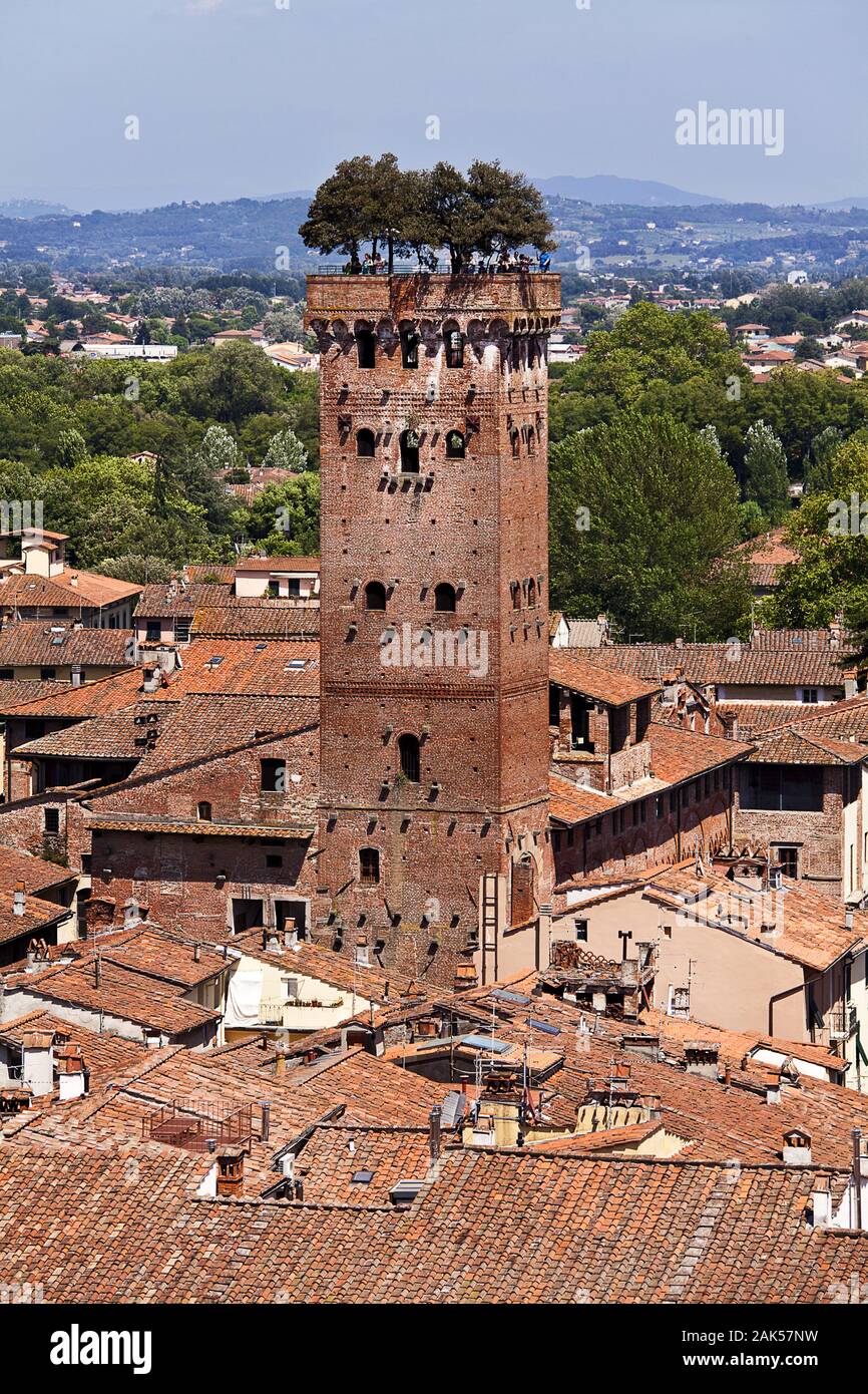 Torre guinigi toskana hi-res stock photography and images - Alamy