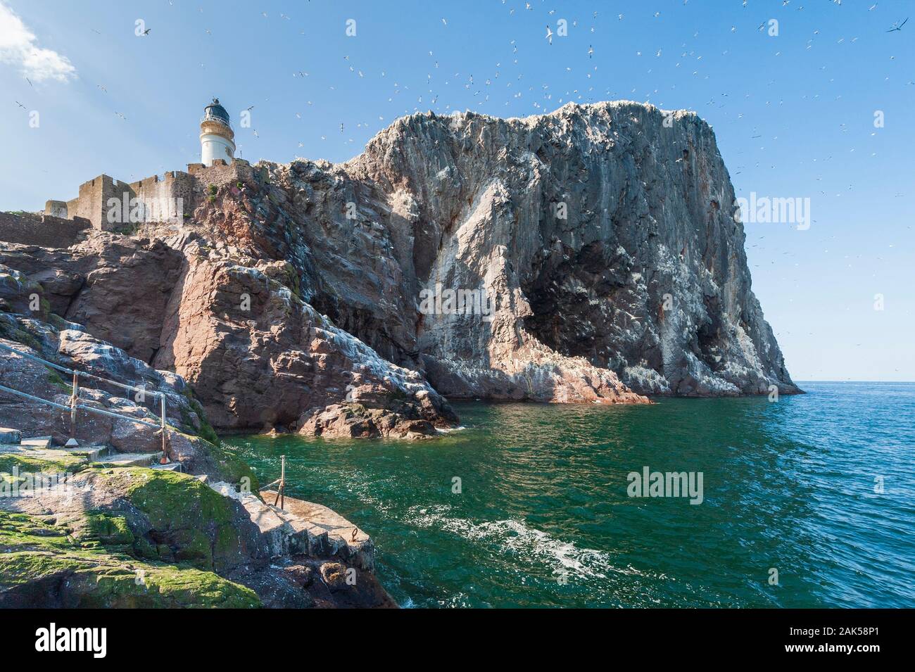 Bass rock hi-res stock photography and images - Alamy