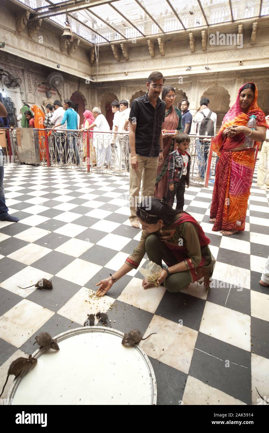 Karni mata tempel hi-res stock photography and images - Alamy