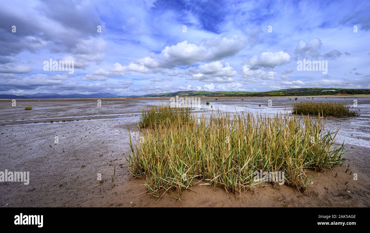 Sandscale Haws coastal reserve, Kirkby in Furness, Cumbria Stock Photo ...