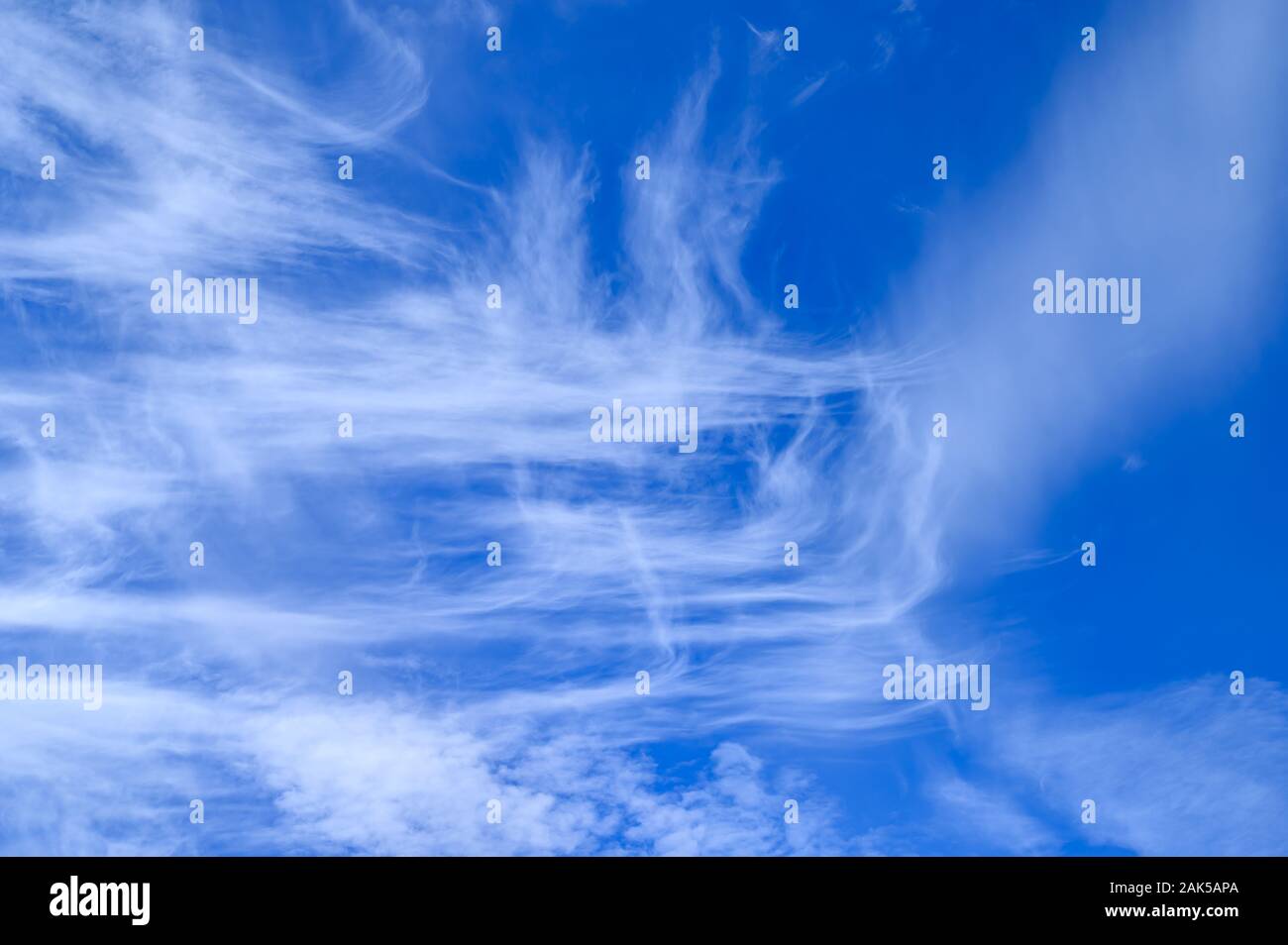 Sandscale Haws coastal reserve, Kirkby in Furness, Cumbria Stock Photo ...