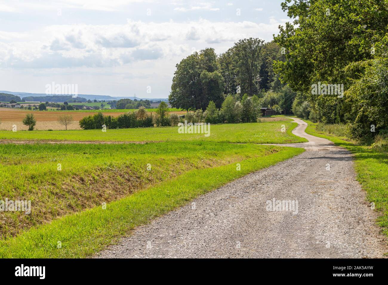 edge of the wood with field path Stock Photo - Alamy