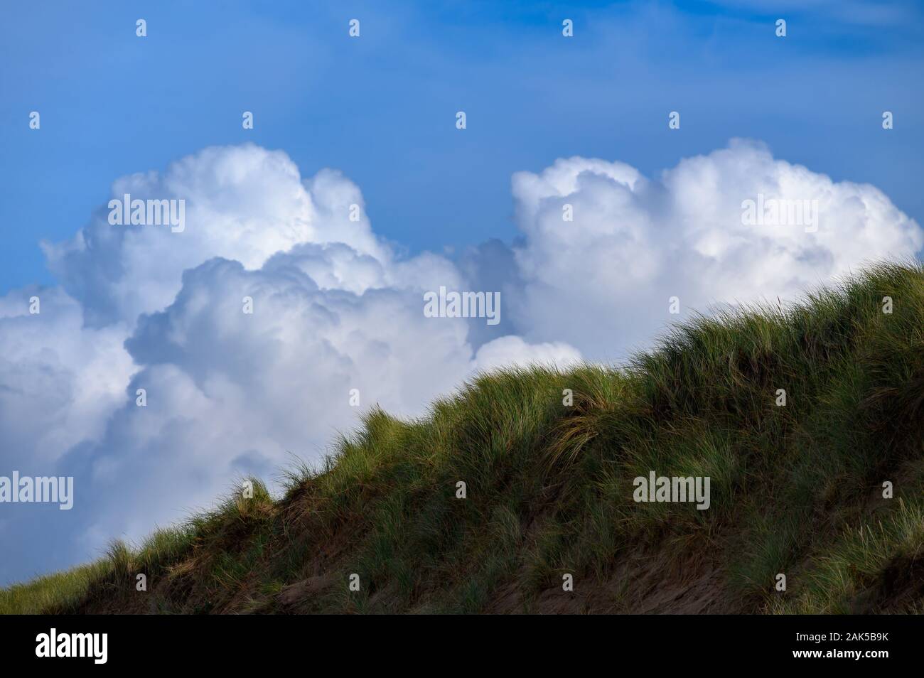Sandscale Haws coastal reserve, Kirkby in Furness, Cumbria Stock Photo ...