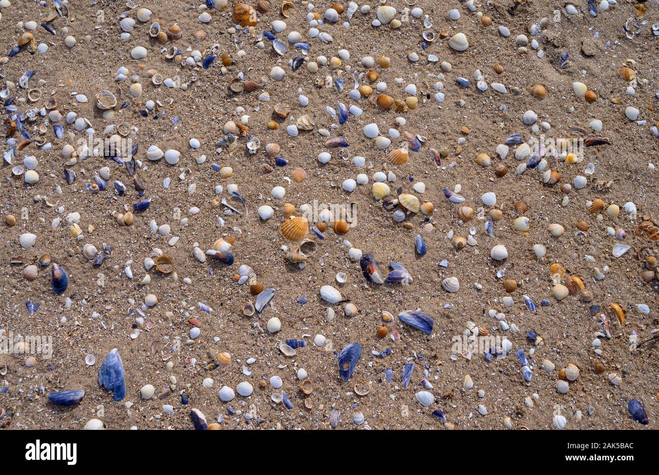 Sandscale Haws coastal reserve, Kirkby in Furness, Cumbria Stock Photo ...