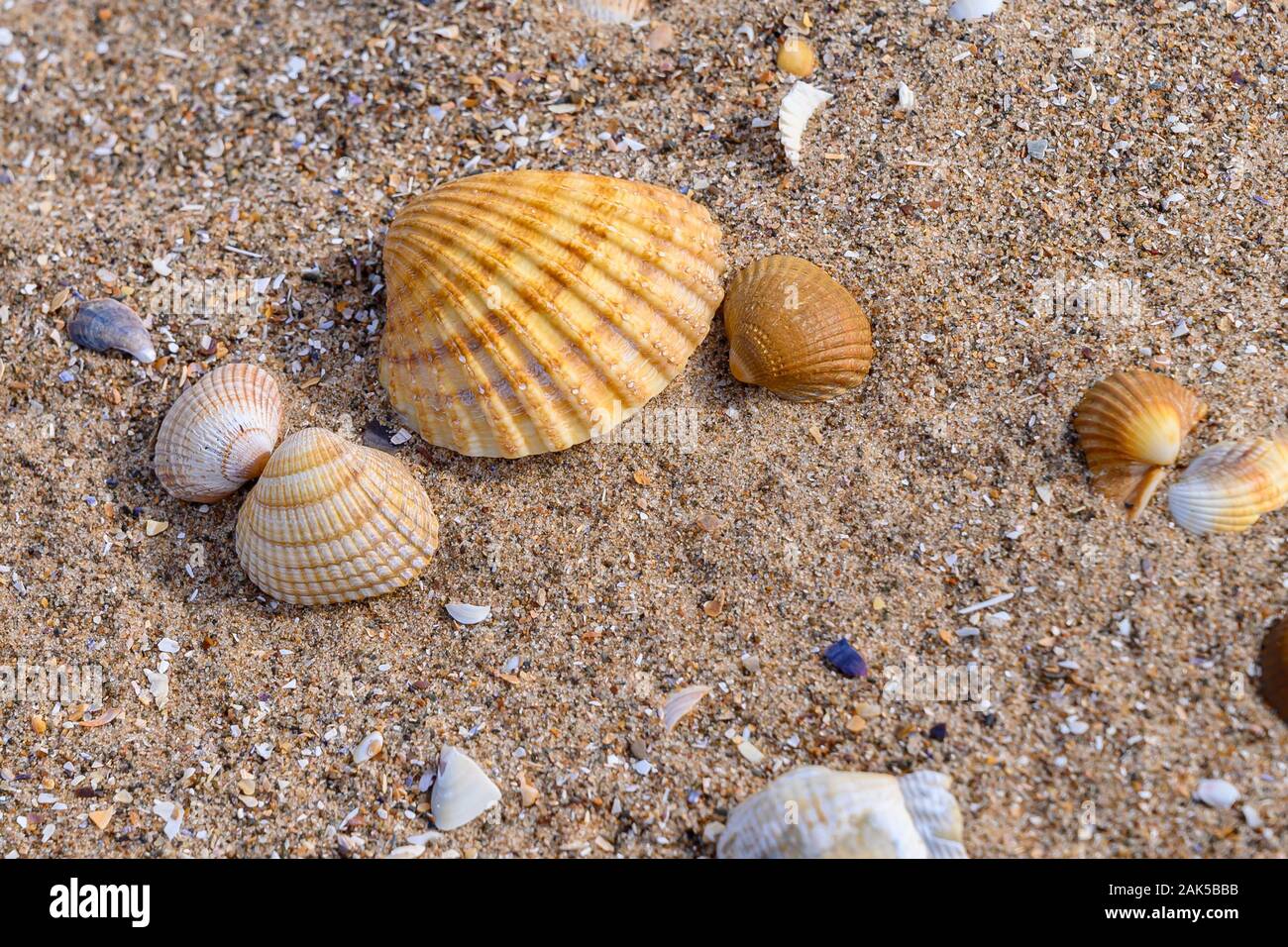 Sandscale Haws coastal reserve, Kirkby in Furness, Cumbria Stock Photo ...