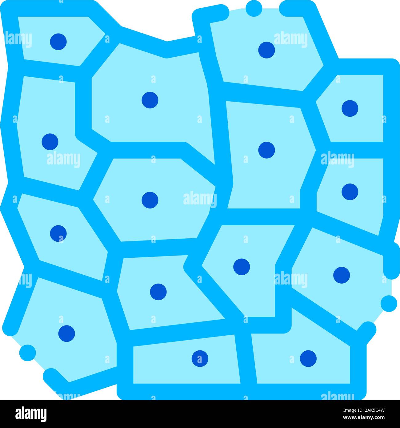 Healthy human skin cell microscopic hi-res stock photography and images ...