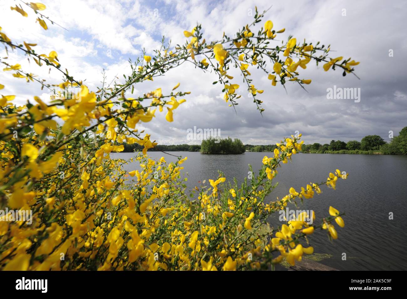 Spreewaldseen hi-res stock photography and images - Alamy