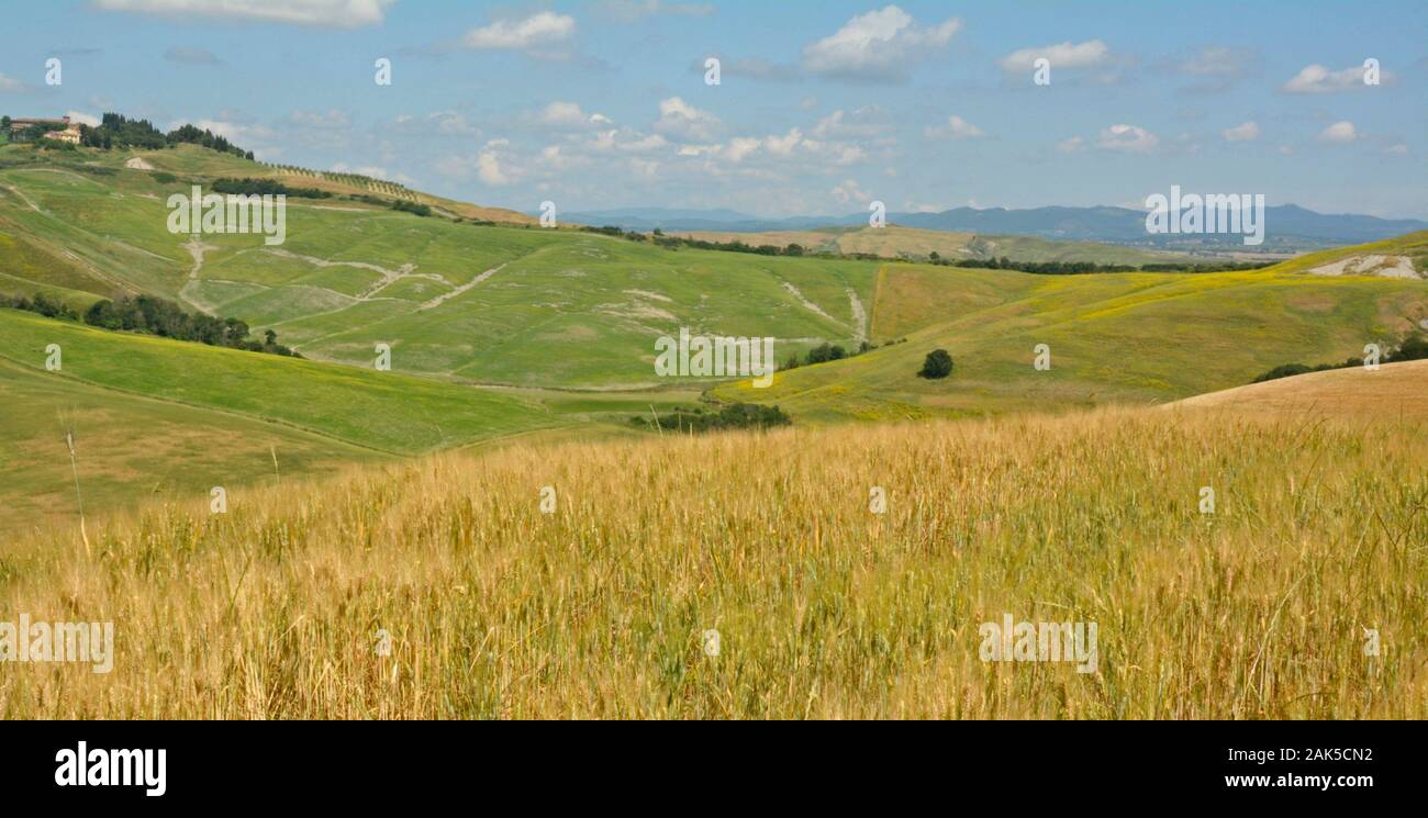 Crete Senesi, Accona High Resolution Stock Photography and Images - Alamy