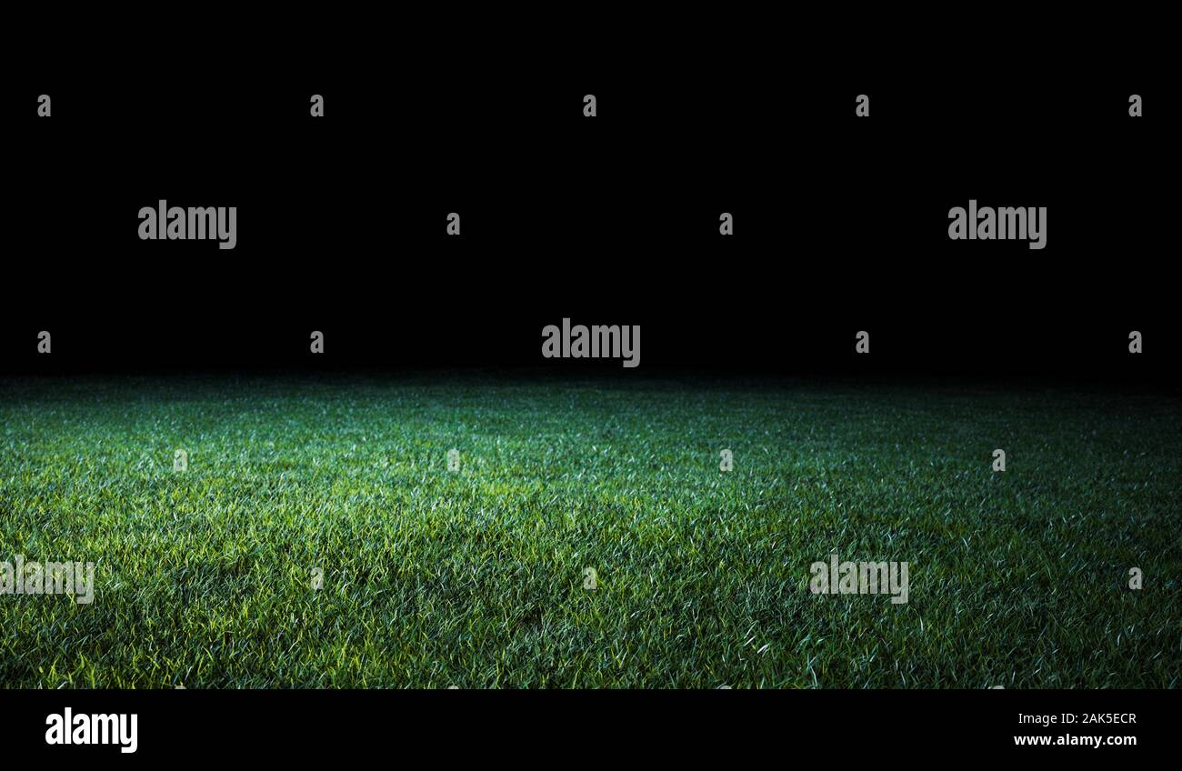 Low angle view across the neatly cut green grass of a lawn or sports ...