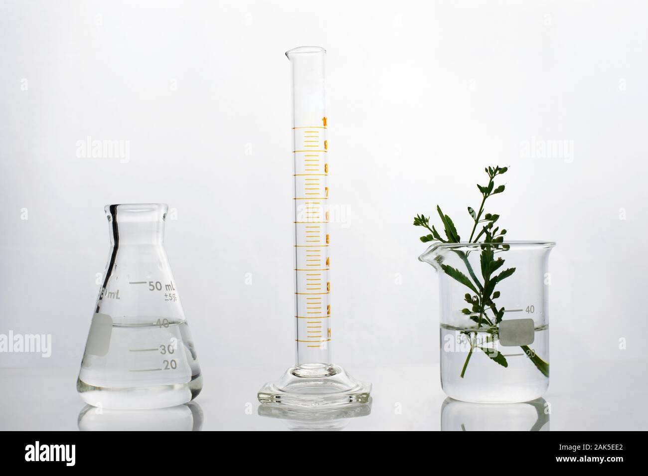 flask cylinder beaker with natural green herbal medical science in ...