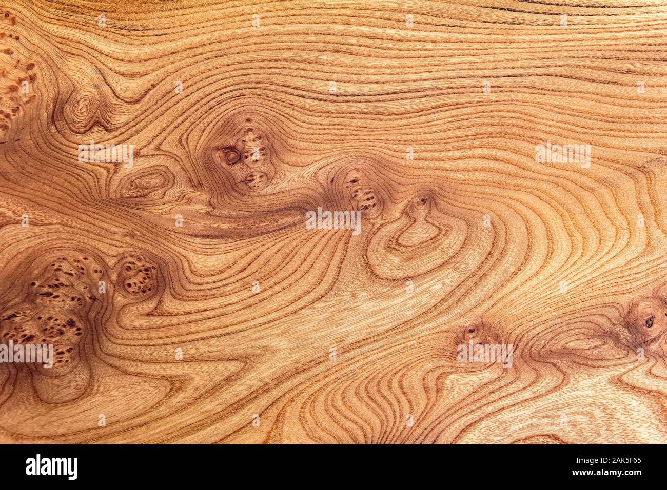 Burl growth hi-res stock photography and images - Alamy