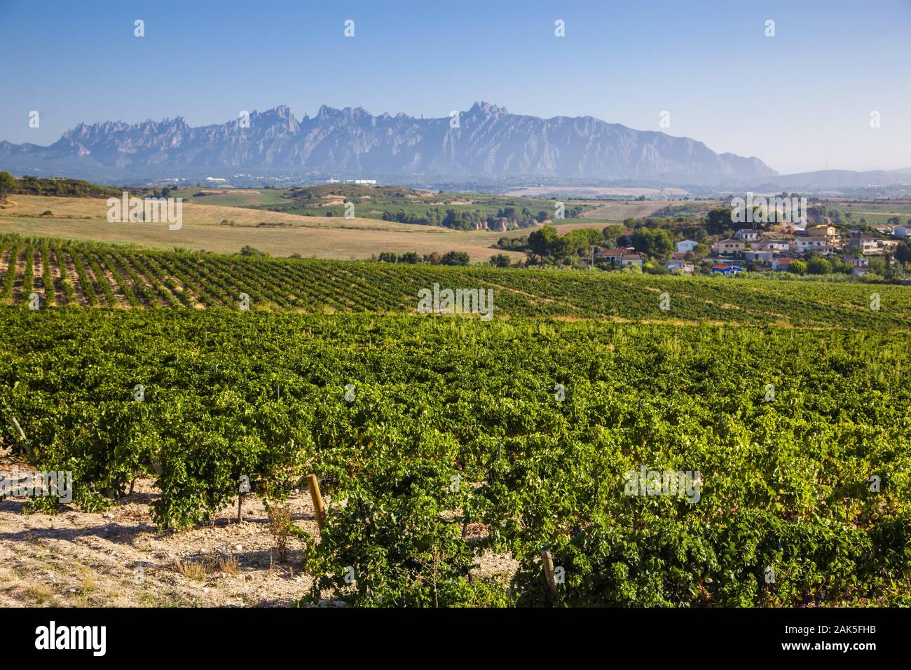 Penedes spain cava hi-res stock photography and images - Alamy