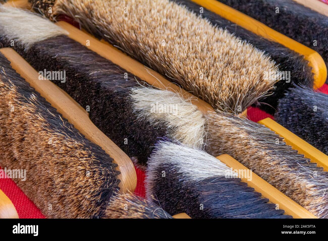 Dense brush hi-res stock photography and images - Alamy