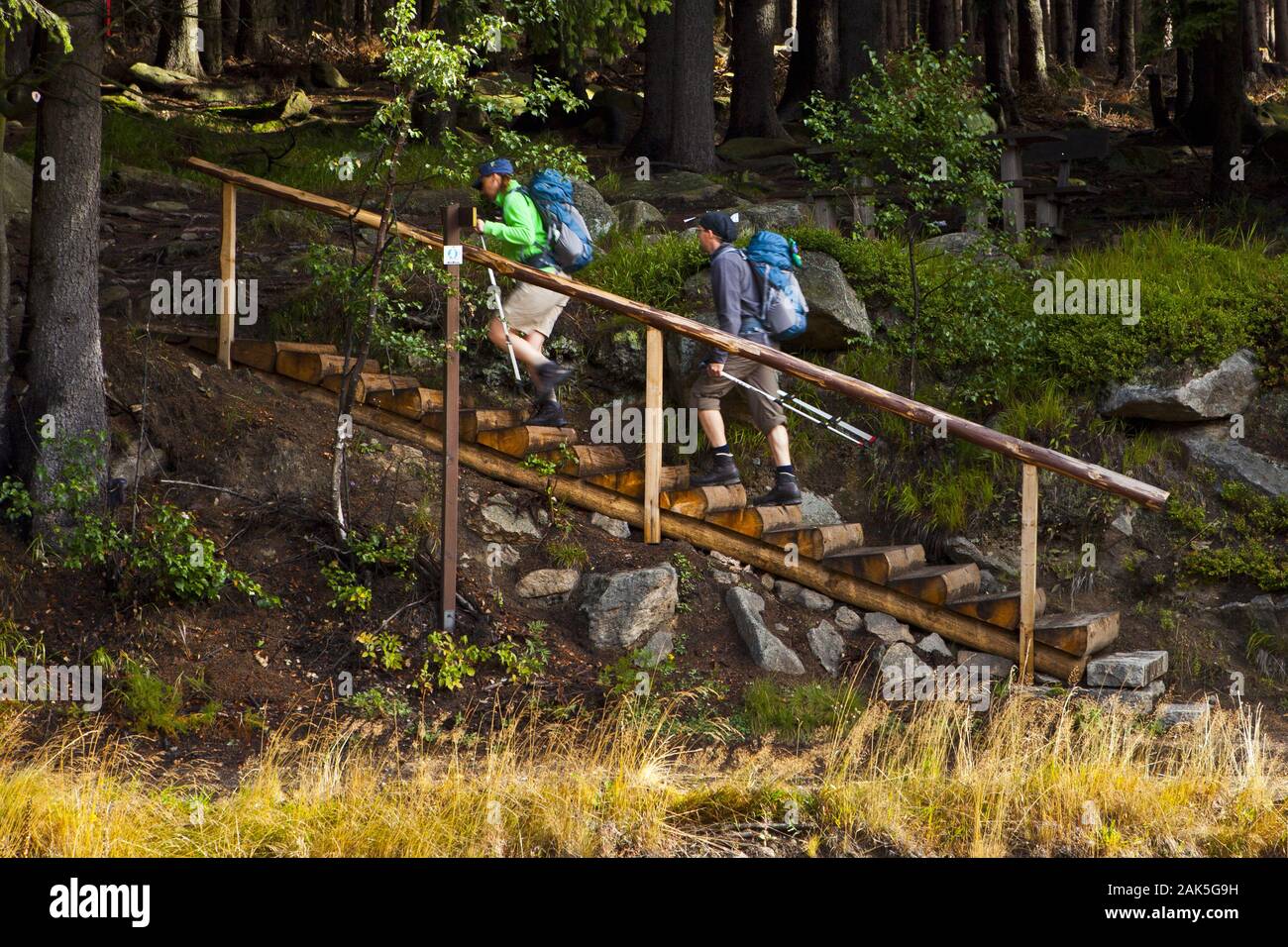 Nationalpark Harz: Wanderweg "Harzer Hexenstieg" in der Naehe der ...