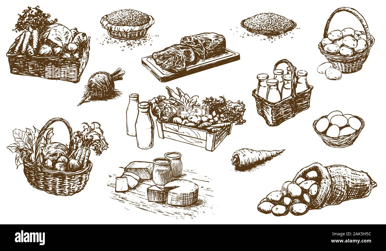 farm products - food, set of hand-drawn illustrations (vector Stock ...
