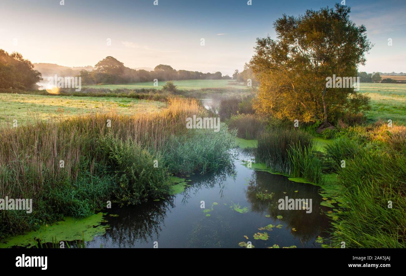 Sunrise river stour dorset summer hi-res stock photography and images ...