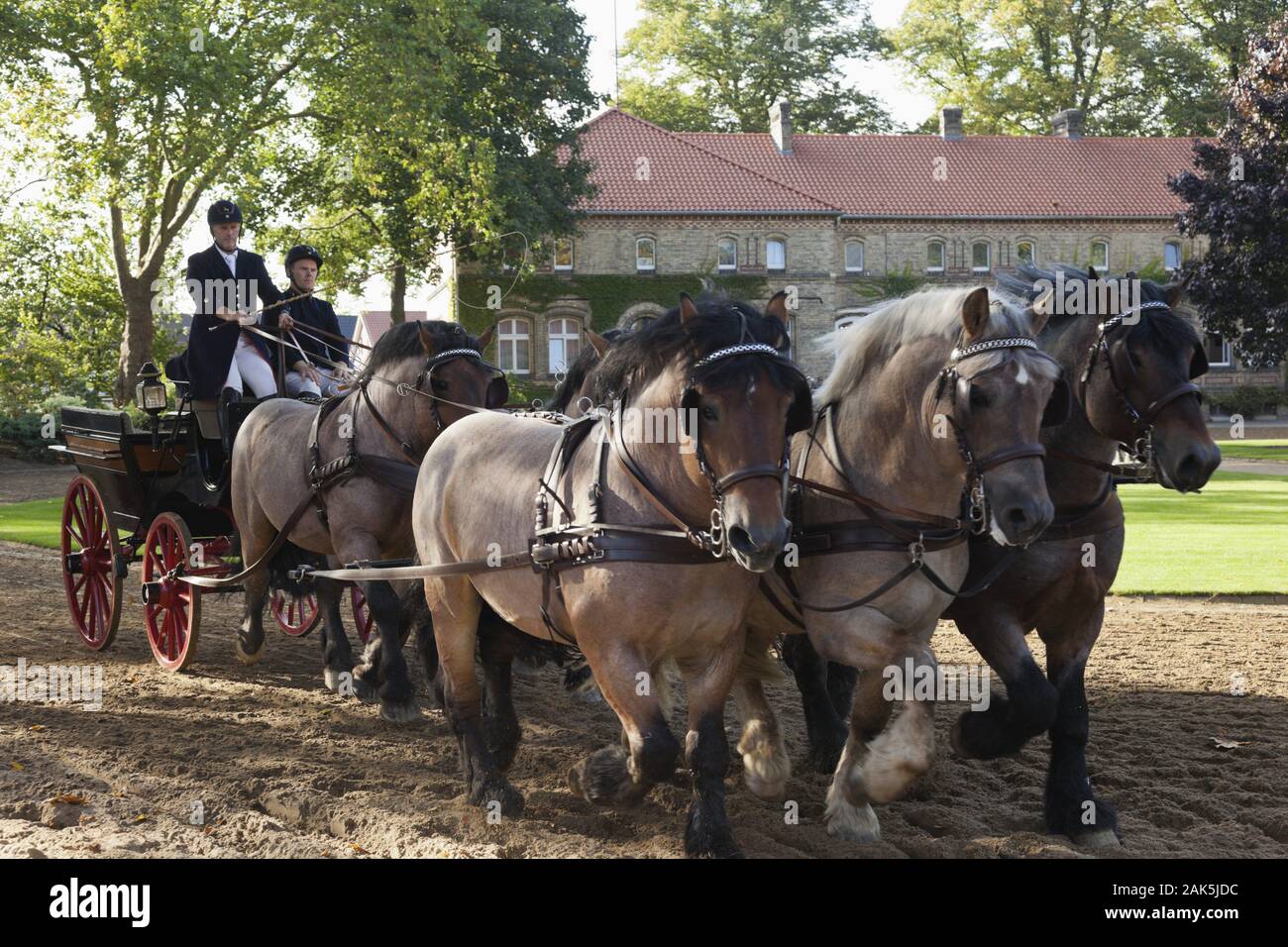 Kutsche pferde hi-res stock photography and images - Alamy