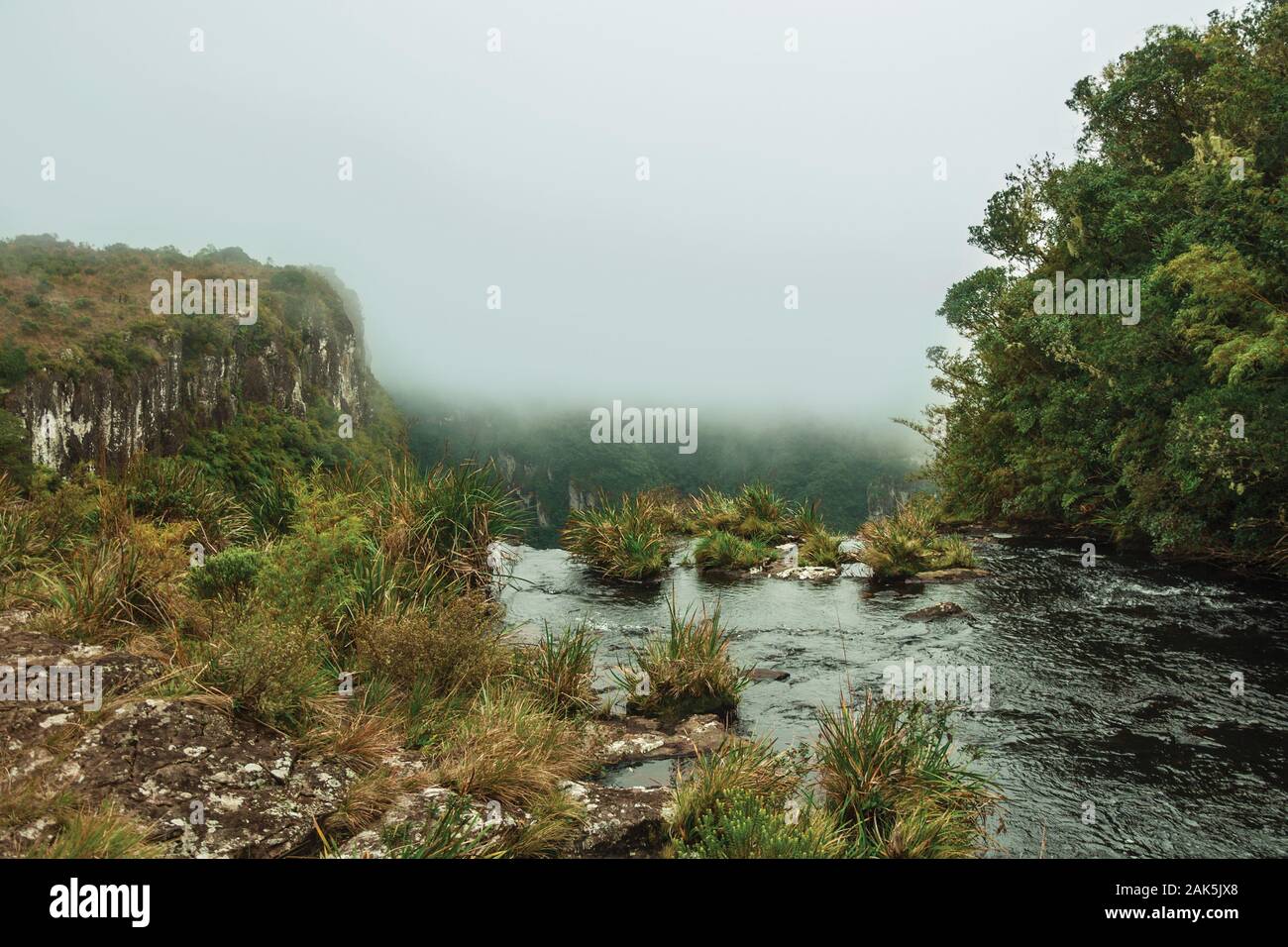 Creek in a forest with waterfall edge at Serra Geral National Park near ...
