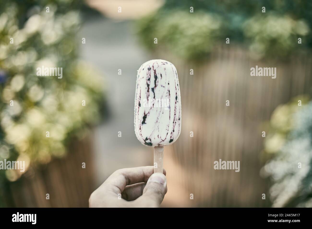 Hand holding popsicle on background Stock Photo - Alamy