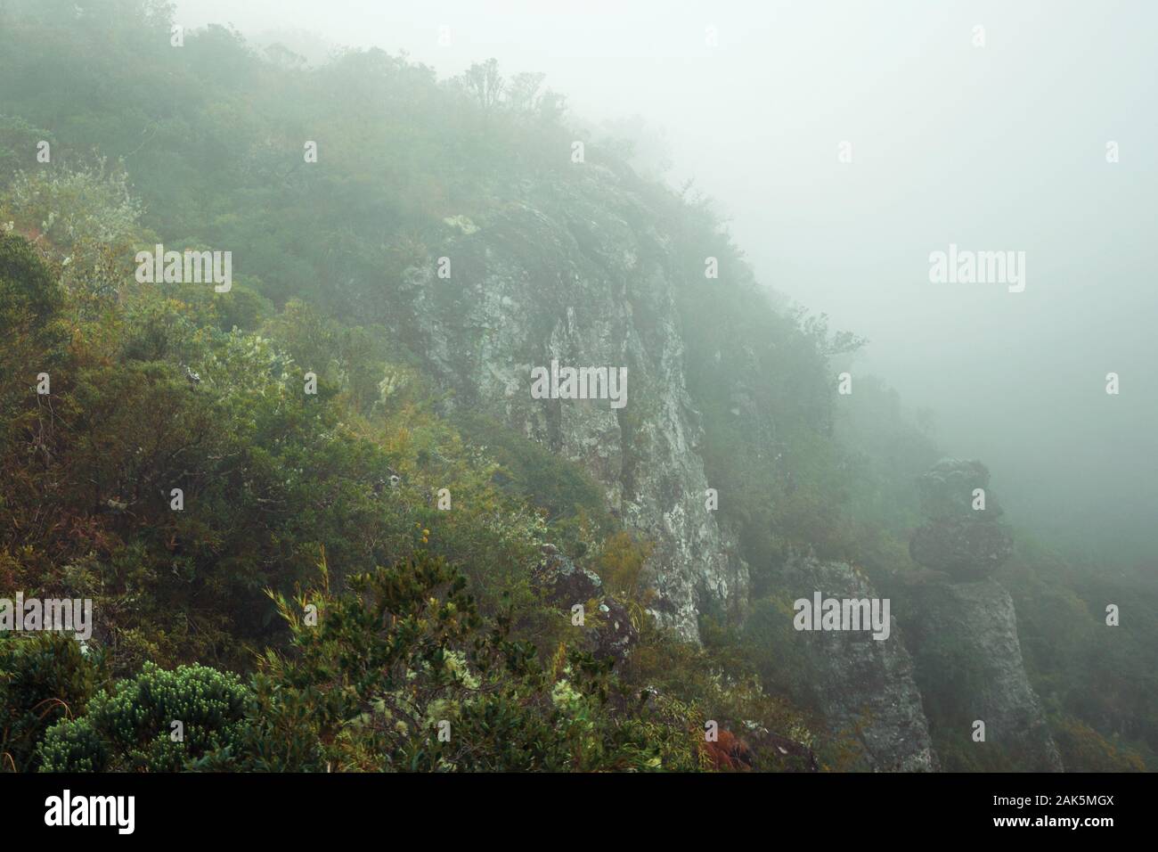 Steep rocky cliff with bushes and mist at Serra Geral National Park ...