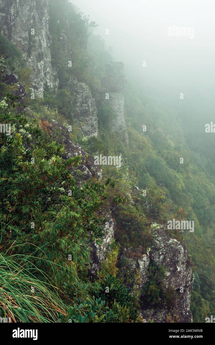 Steep rocky cliff with bushes and mist at Serra Geral National Park ...