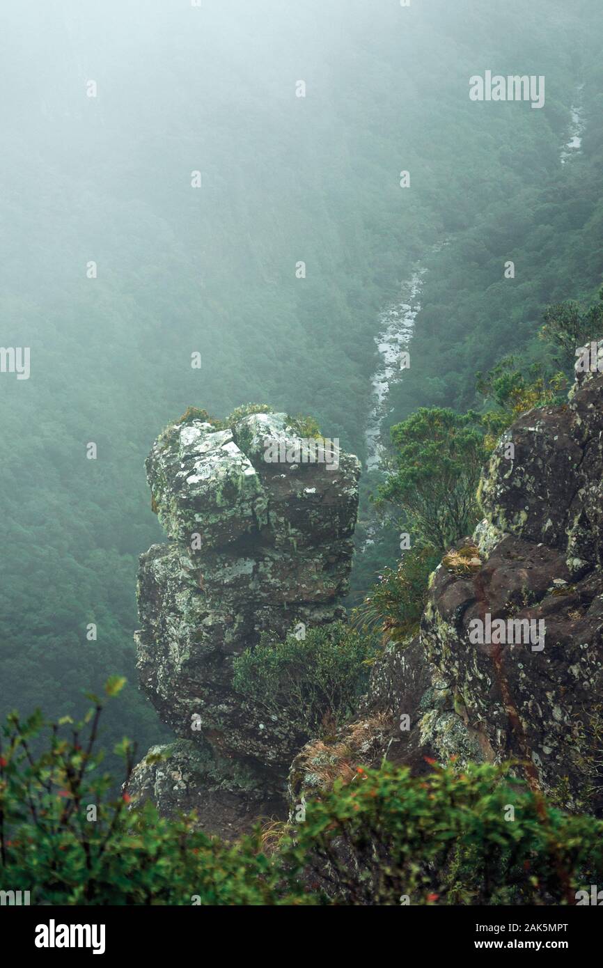 Steep rocky cliff with bushes and mist at Serra Geral National Park ...