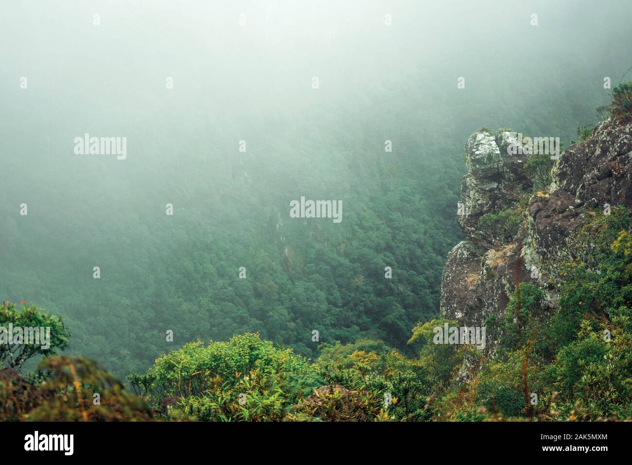 Steep rocky cliff with bushes and mist at Serra Geral National Park ...