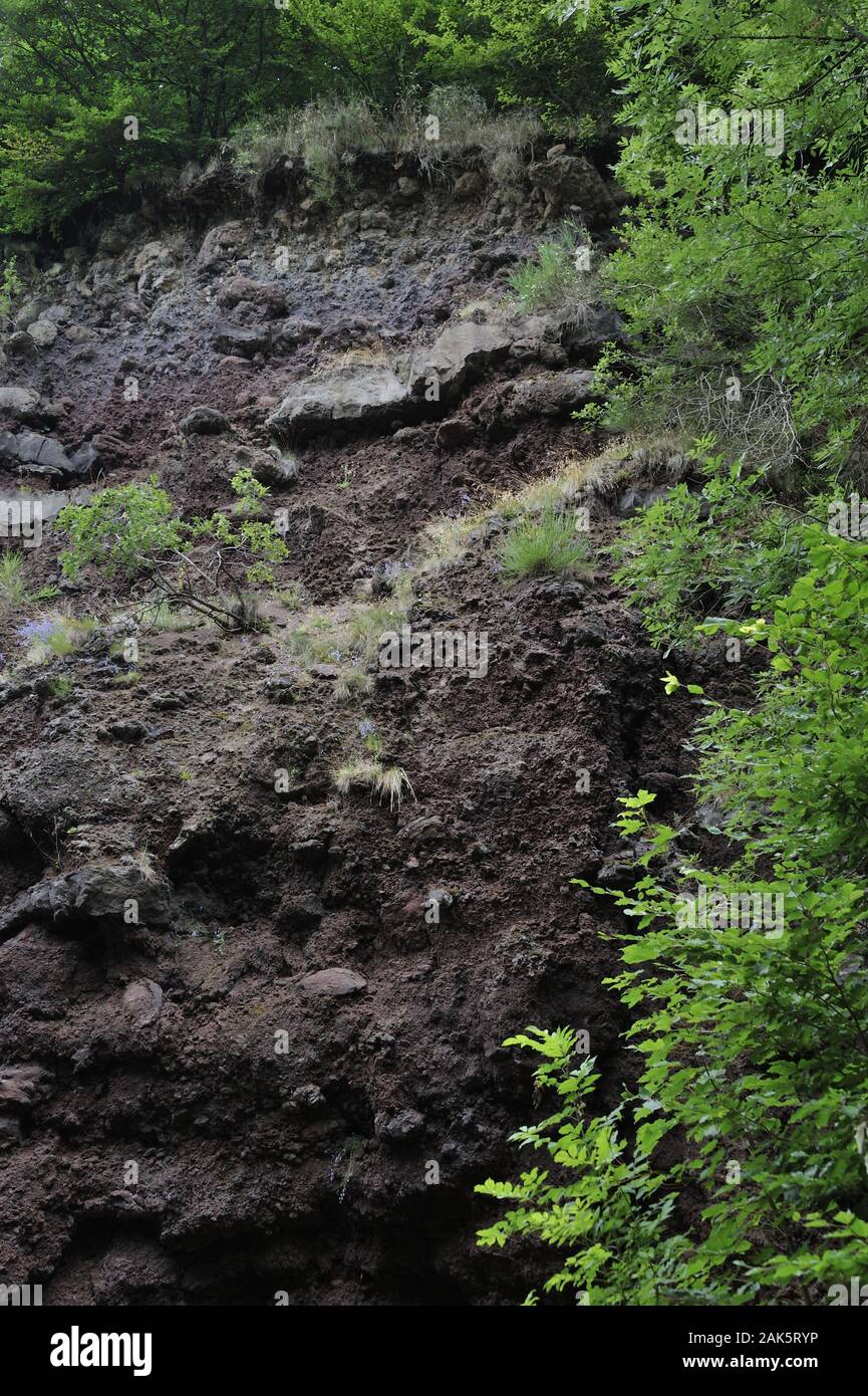 Strohn: Lava- und Basaltbrocken auf dem Vulkanerlebnispfad, Eifel ...