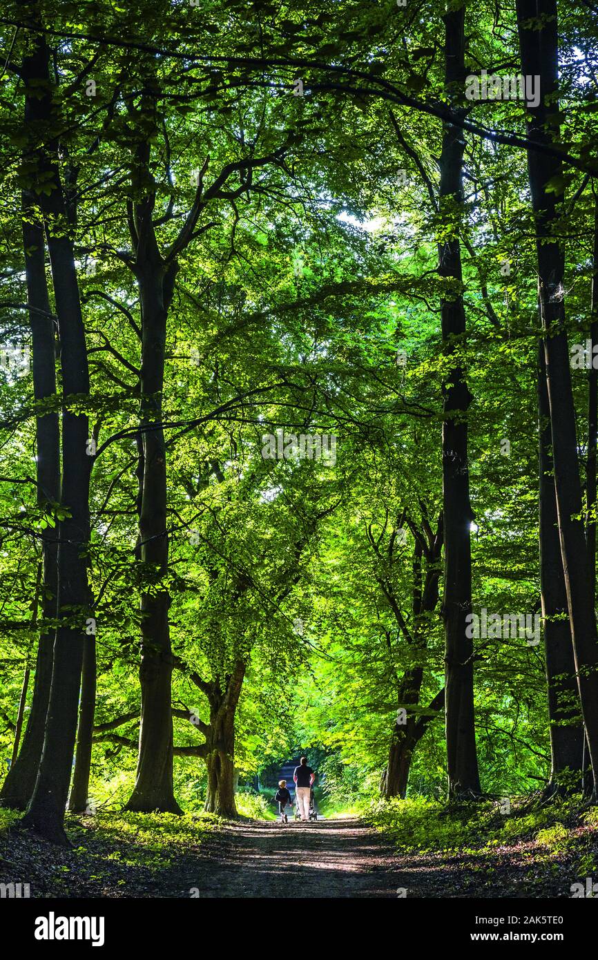 Selenter see hi-res stock photography and images - Alamy