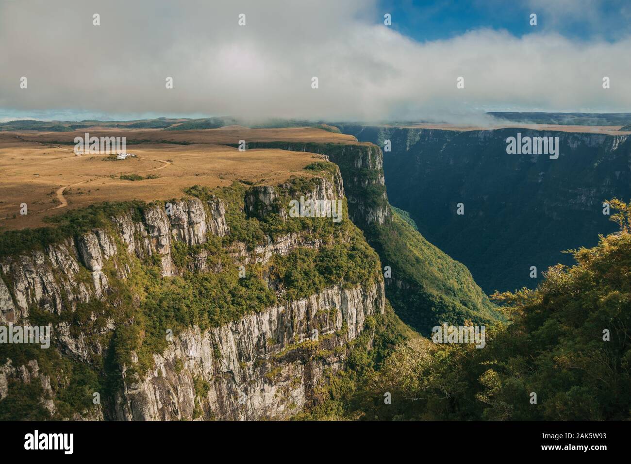 Fortaleza Canyon shaped by steep rocky cliffs with forest and flat ...