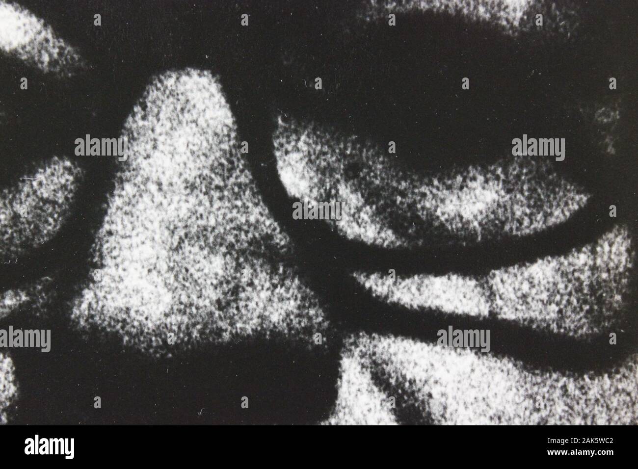 Fine seventies black and white extreme photography of a creepy man ...