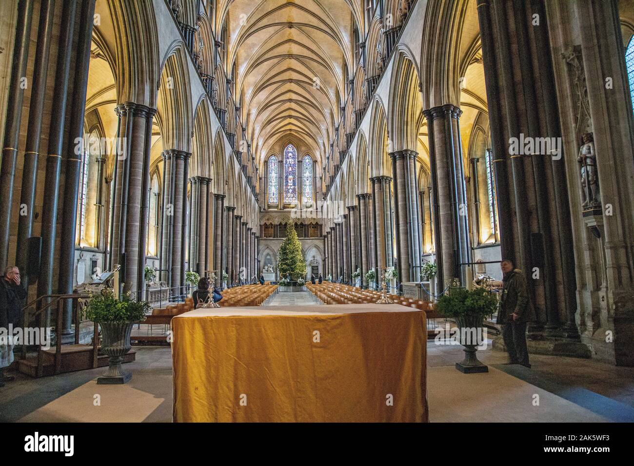 Christmas Tree, Salisbury Cathedral Stock Photo - Alamy