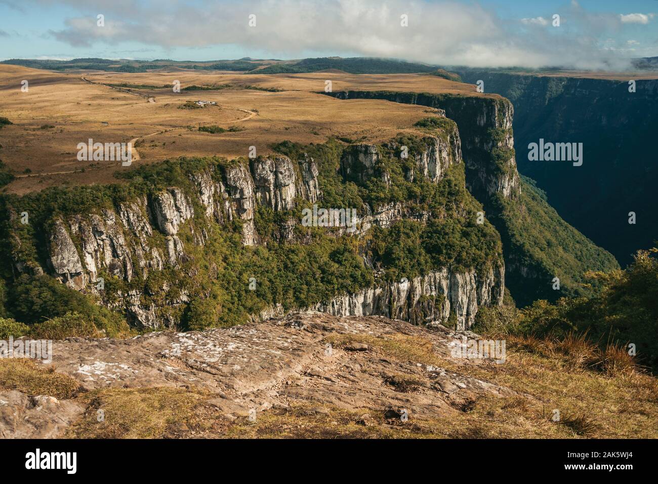Fortaleza Canyon shaped by steep rocky cliffs with forest and flat ...