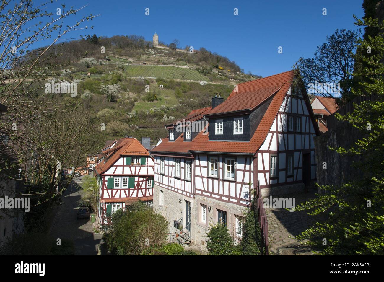 Heppenheim: Blick ueber die Altstadt auf den Schlossberg mit Burgruine ...
