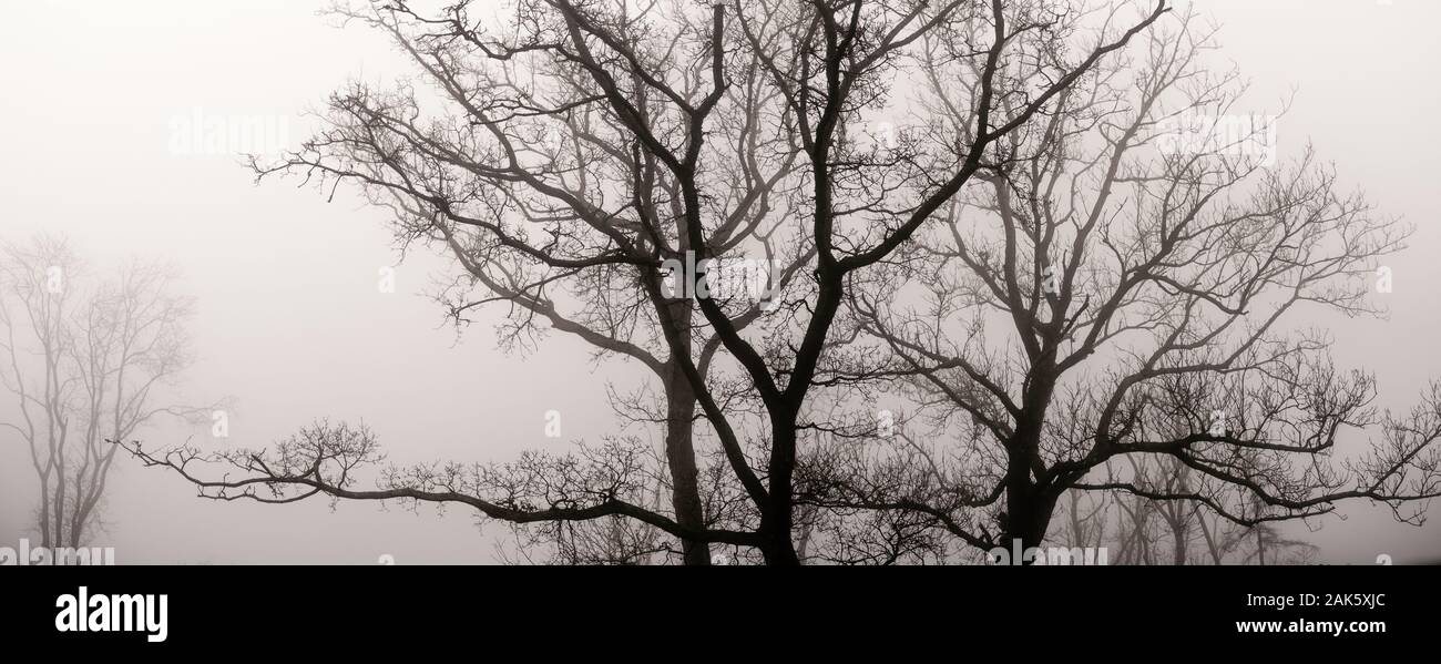 Bleak winter scene hi-res stock photography and images - Alamy