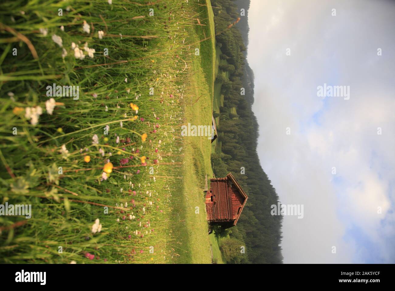 Fuerstentum Liechtenstein: alpine Landschaft mit Holzhaeuschen ...