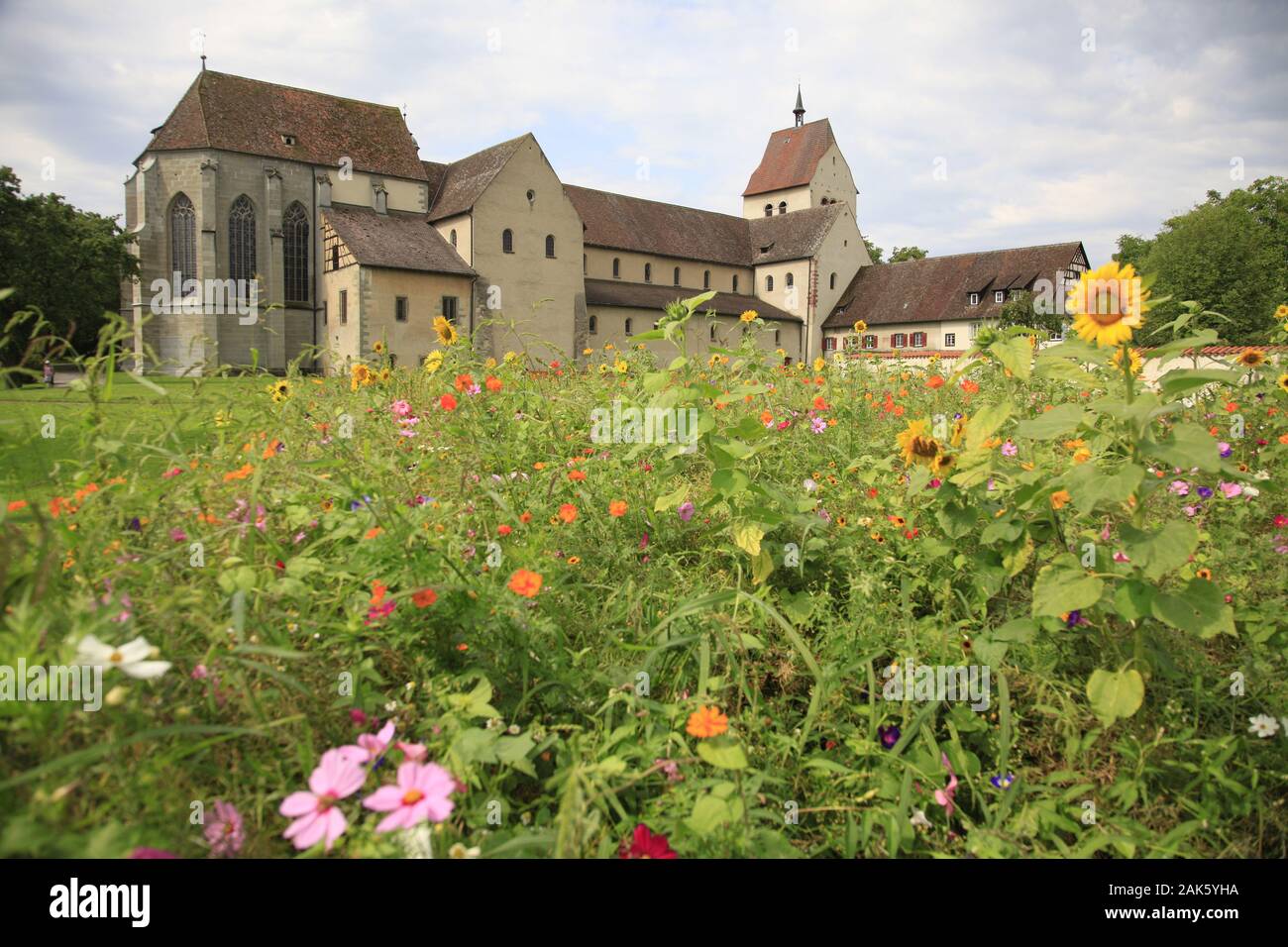 Insel Reichenau: Kloster Mittelzell mit bluehendem Klostergarten ...