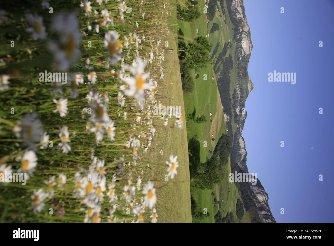 Schweiz: Landschaft bei Appenzell, Bodensee | usage worldwide Stock ...