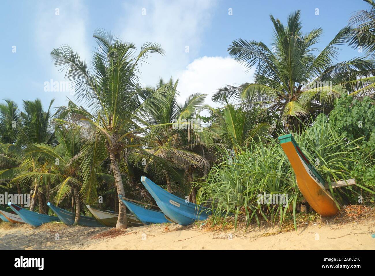 Colorful boats at a tropical beach in Sri Lanka Stock Photo - Alamy