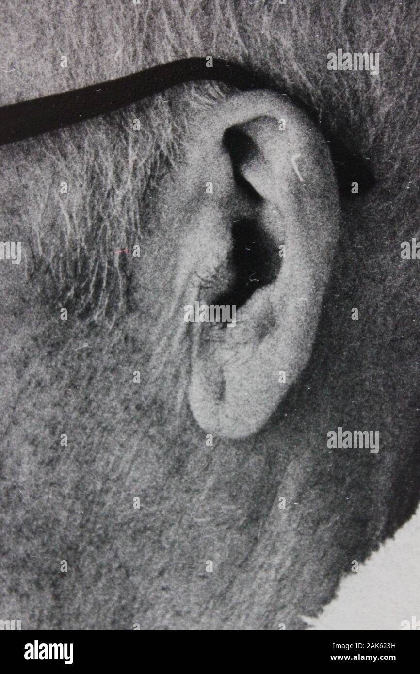 Fine 1970s black and white vintage photography of an elderly man's ear ...