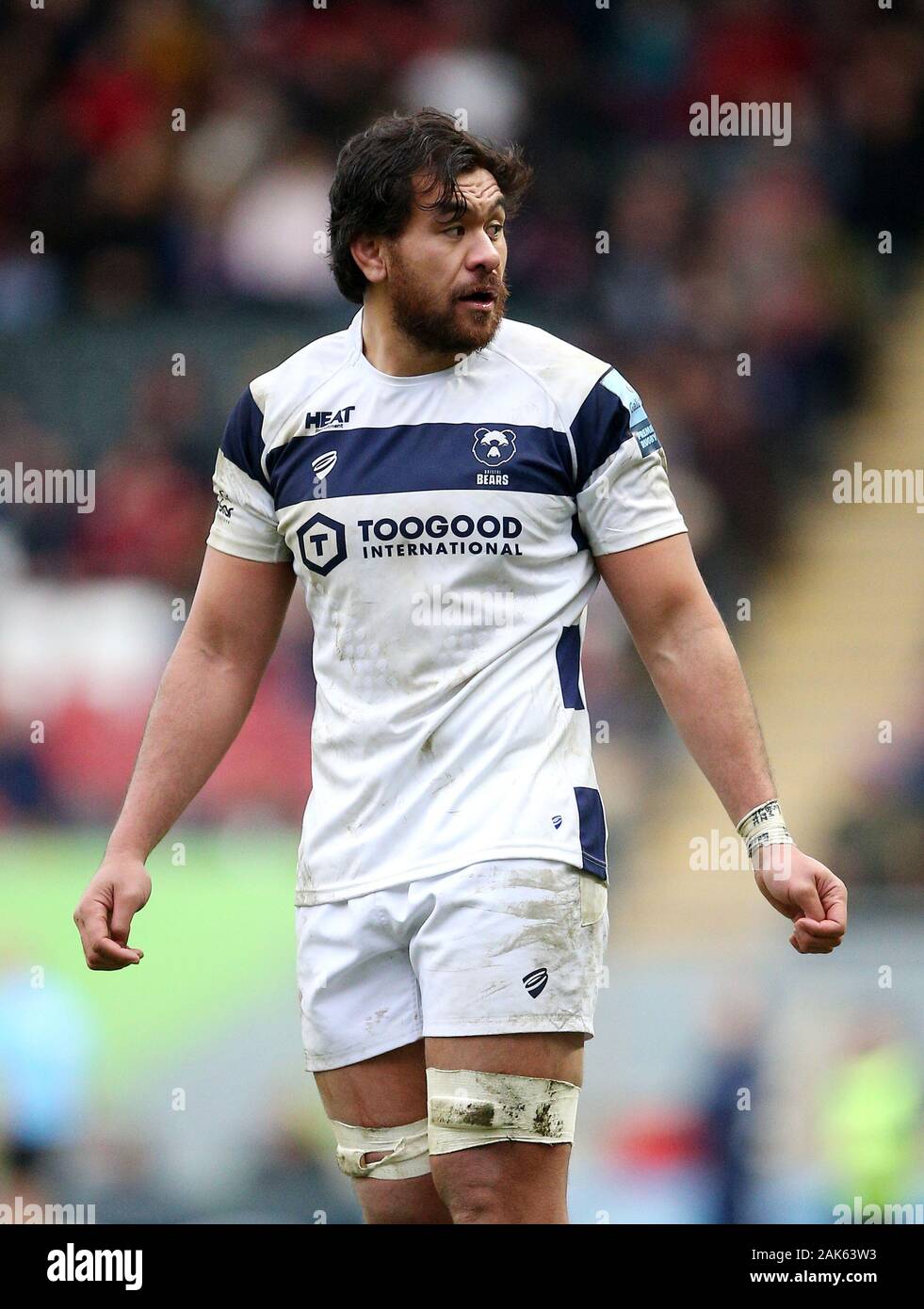 Bristol Bears' Steven Luatua Stock Photo - Alamy