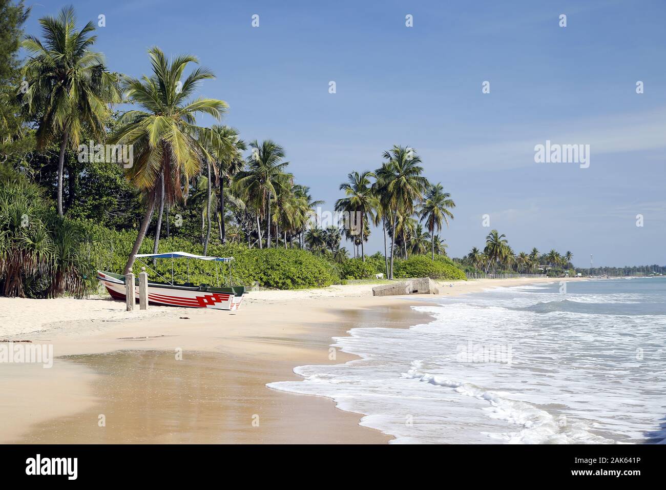 Trincomalee: Vegetation am Nilaveli Strand, Sri Lanka | usage worldwide ...