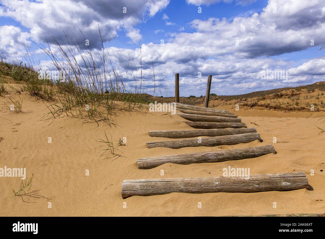 Manitoba/Spruce Woods Provincial Park: Brandon, Wanderweg "Spirit Sands ...