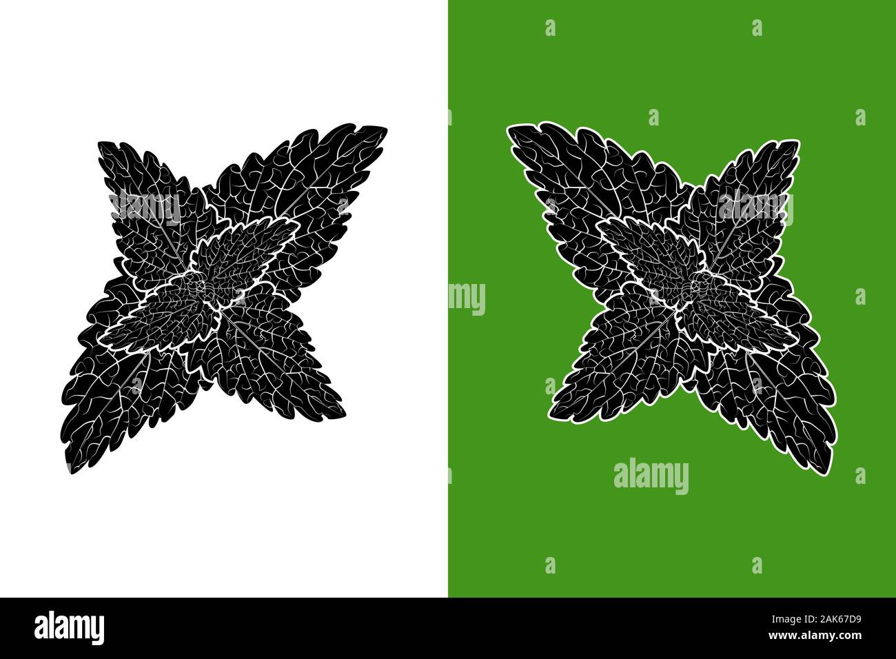 Catnip garden Stock Vector Images - Alamy