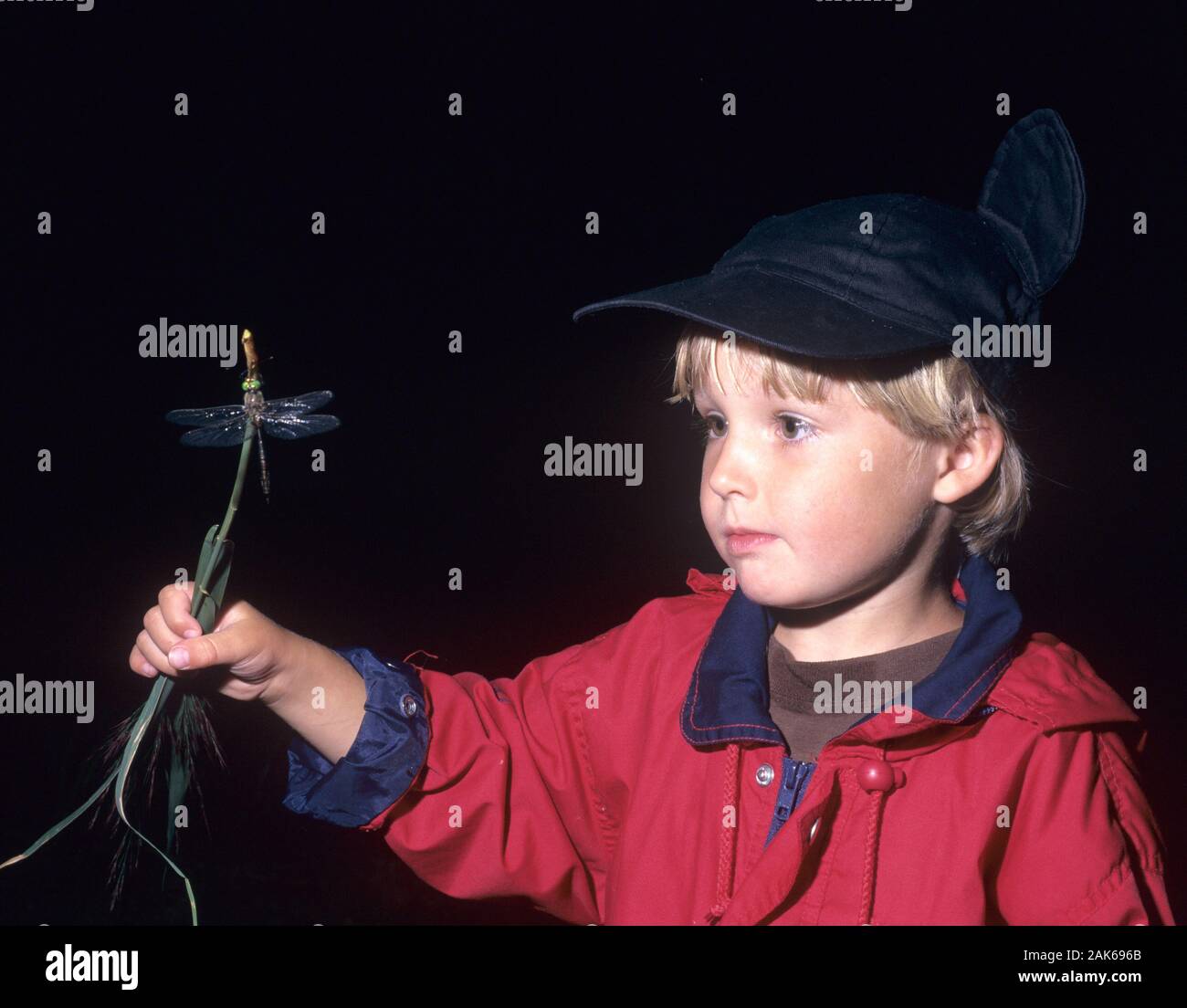 Boy watching a dragonfly Stock Photo - Alamy
